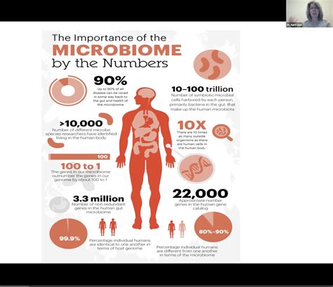 May Teacher Series Exploring The Relationship Between Gut Microbiome And Pco International