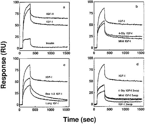 Association And Dissociation Curves For Igf I Igf Ii Insulin And The Download Scientific