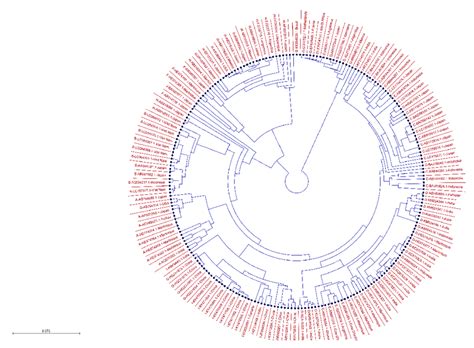 Sequence Alignment Of Hbv Genotype Specific Consensus Sequences Of The Download Scientific