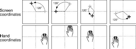 relationship between a cursor and a rotated mouse at various positions