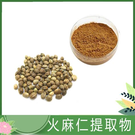 火麻仁的别名 简单 大山谷图库