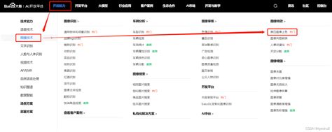 利用python调用百度api实现黑白图像处理python 黑白涂色上色 百度api Csdn博客