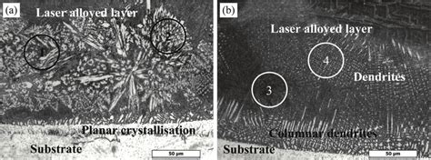 Optical Micrographs Of The Inhomogeneous Structure Of Specimen C Download Scientific Diagram