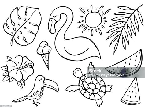 여름 낙서 세트 플라밍고 큰 부리 새 바다 거북 몬스 테라 잎 아이스크림 흰색으로 분리 된 수박 벡터 그림입니다 인사말 카드