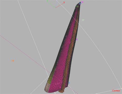 Overlapping Meshes CENTAUR Software