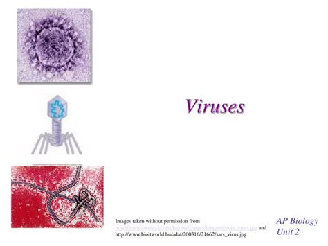 PPT Viruses PowerPoint Presentation Free Download ID