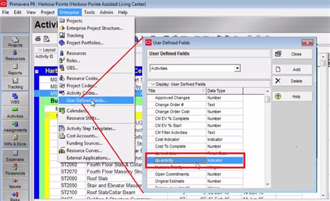 Primavera P6 User Defined Fields Formula Lanaloan