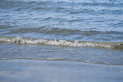 무료 이미지 자연스러운 물 수자원 액체 유동체 바닷가 연안 및 해양 지형 수평선 바람 파도 고요한 웨이브 대양 무늬 조류 호수 행사 바다