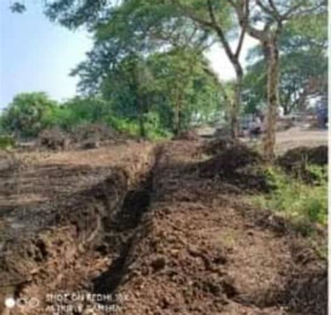 Dvb မြောင်မြို့နယ်၌ စစ်တပ်အင်အားထပ်ဖြည့်၊ ကျေးရွာများတွင် သစ်ပင်ခုတ