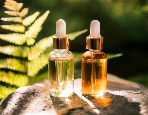 Natural Serums In Glass Bottles On Stone With Ferns In Forest