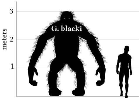 Ancient Proteins Tell Story Of Gigantopithecus Largest Ever Primate Discover Magazine