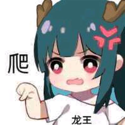 表情包快来参见本群龙王 哔哩哔哩