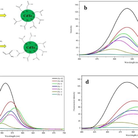 Optimal Conditions For Hplc Parameters Download Scientific Diagram