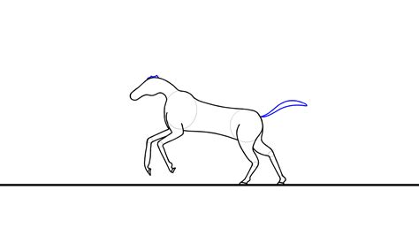 Horse Run Cycle 