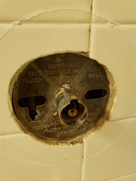 Moen Shower Cartridge Replacement And Plastic Plaster Guard Terry Love