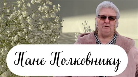 Пане Полковнику! - YouTube