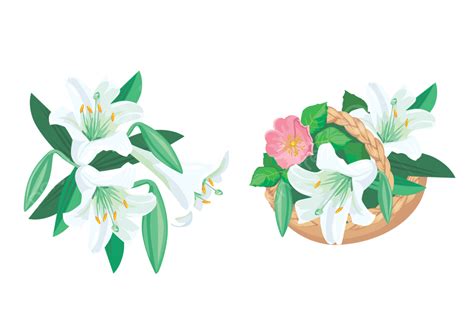 백합 패션 백합 무늬 PNG 일러스트 및 PSD 이미지 무료 다운로드 Pngtree