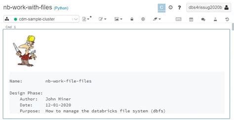 Azure Databricks Local File System Management