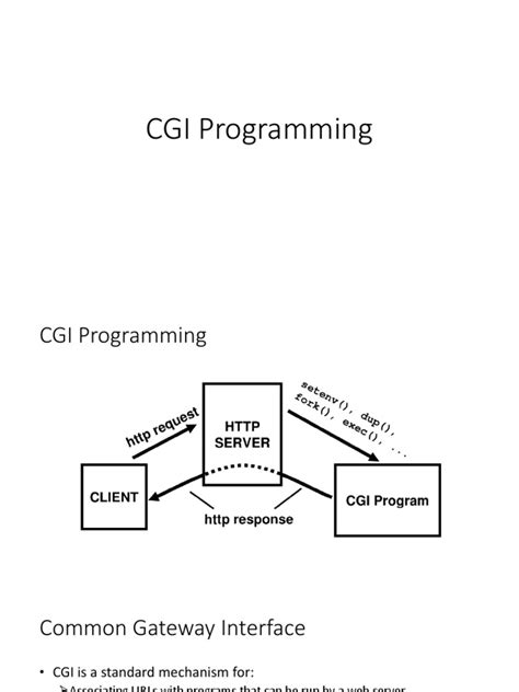 07 Cgi Pdf Networking Internet And Web