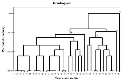 Dendrogram Of The Genetic Relationship Of The Bla Oxa 23 Positive Download Scientific Diagram
