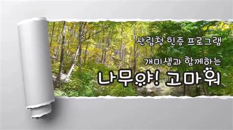 나무야 고마워 Youtube