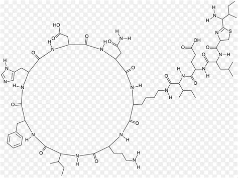 杆菌素 多粘菌素b抗生素多肽抗生素新霉素 多粘菌素b 杆菌肽 枯草素png图片素材下载 图片编号1630833 Png素材网