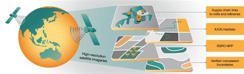 Global Monitoring Transform By Action