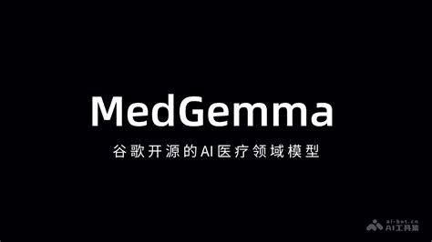 MedGemma 谷歌开源的AI医疗领域模型 AI工具集