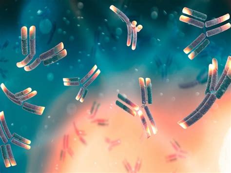 Immunochemistry Market Segmentation Along With Methodology Size Factors Contributing To Growth