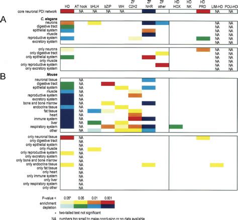 Homeodomain Tfs Are Neuronally Expressed Both In C Elegans And In