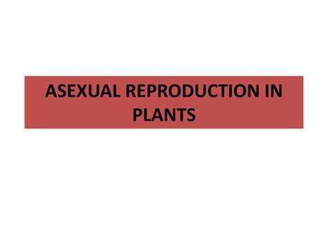 Powerpoint Asexual Reproduction In Plants Pptx