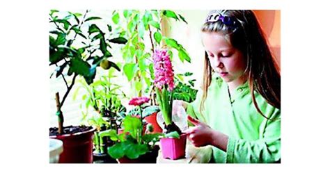 Актуални грижи за цветята вкъщи