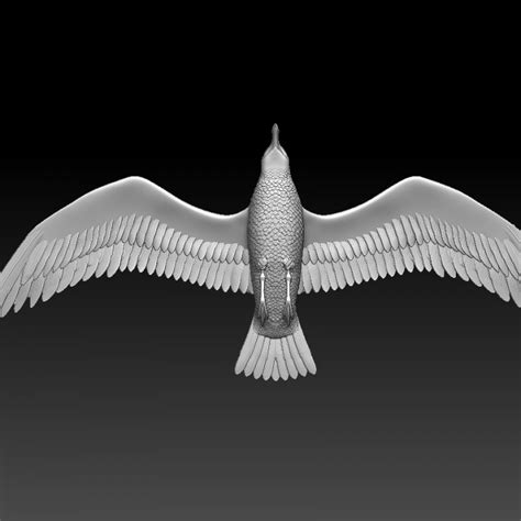 3d Printable Seagull By Dmitry Tishchenkov