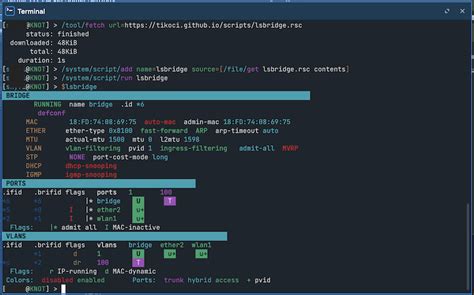 🧐 Example Of Automating Vlan Creationremovalinspecting Using Mkvlan