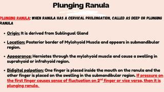 Mucocele And Ranula Are Mucous Cyst Of Salivary Gland Pdf