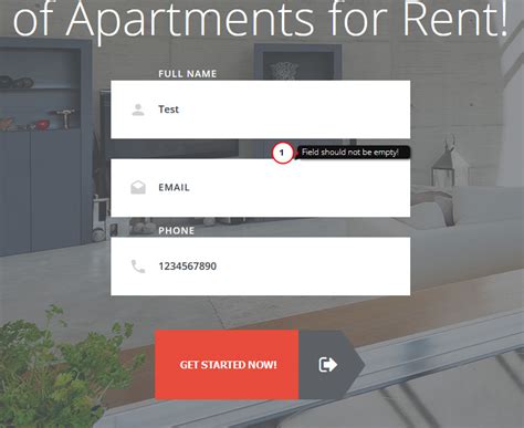JS Animated How To Make Field Required Not Required In A RD Mail Form