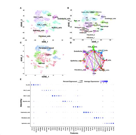 Overview Of Single Cells Derived From Tumors Adjacent Tumor Tissues