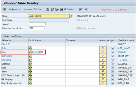 Assignment Of Roles To Users Agrusers