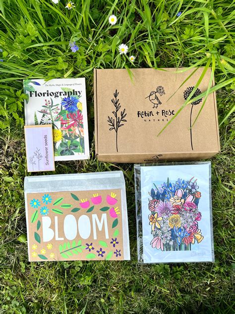 Summer Robin And Rose Box Little Robin Education