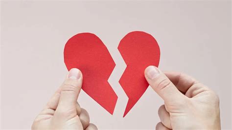 Peroxisomas Function And Structure Evidence Network