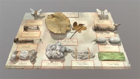 Ver à Soie Download Free 3d Model By Tavernier Amaury Svtavernier [caaf1bc] Sketchfab