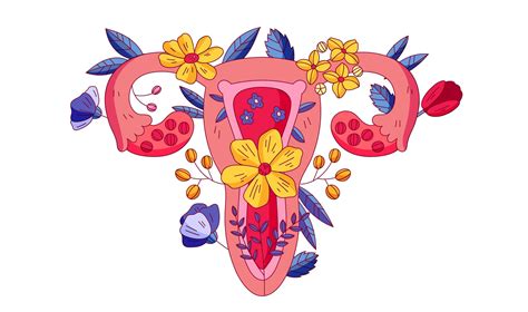 What Is White Spots On Cervix Do One Need To Worry