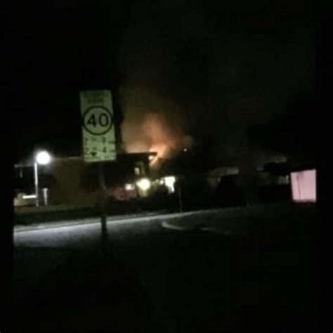 Lucyvale Fuck Everything Reviews Album Of The Year