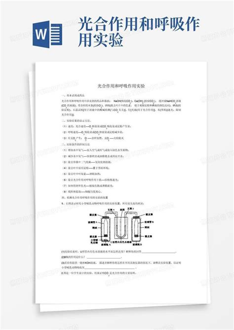 光合作用和呼吸作用实验word模板下载 编号lyyozeyw 熊猫办公