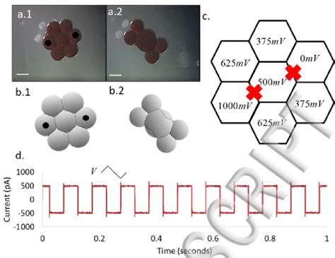 Comparison Between Model Predictions And Experimental Results For Download Scientific Diagram