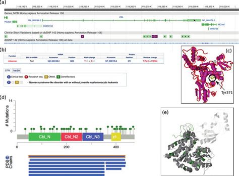 Identification Of Clinically Relevant Mutations In Clinvar Cosmic And Download Scientific