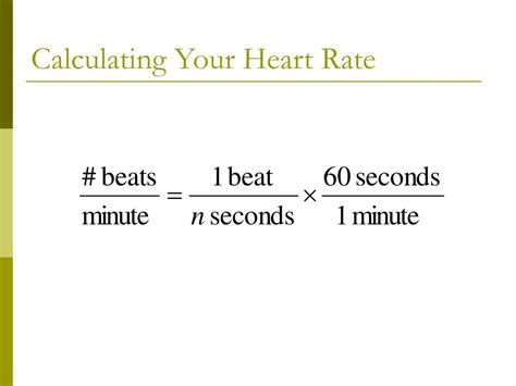 Calculating Your Heart Rate Information On The Heart And