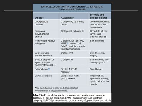 Biology Of The Extracellular Matrix Functions Of The Ecm Components Of The Ecm Diseases