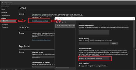 How Do I Set Specific Environment Variables When Debugging In Visual