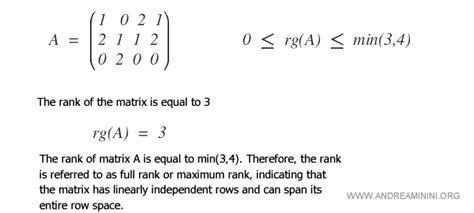 Understanding The Rank Of Matrices Andrea Minini